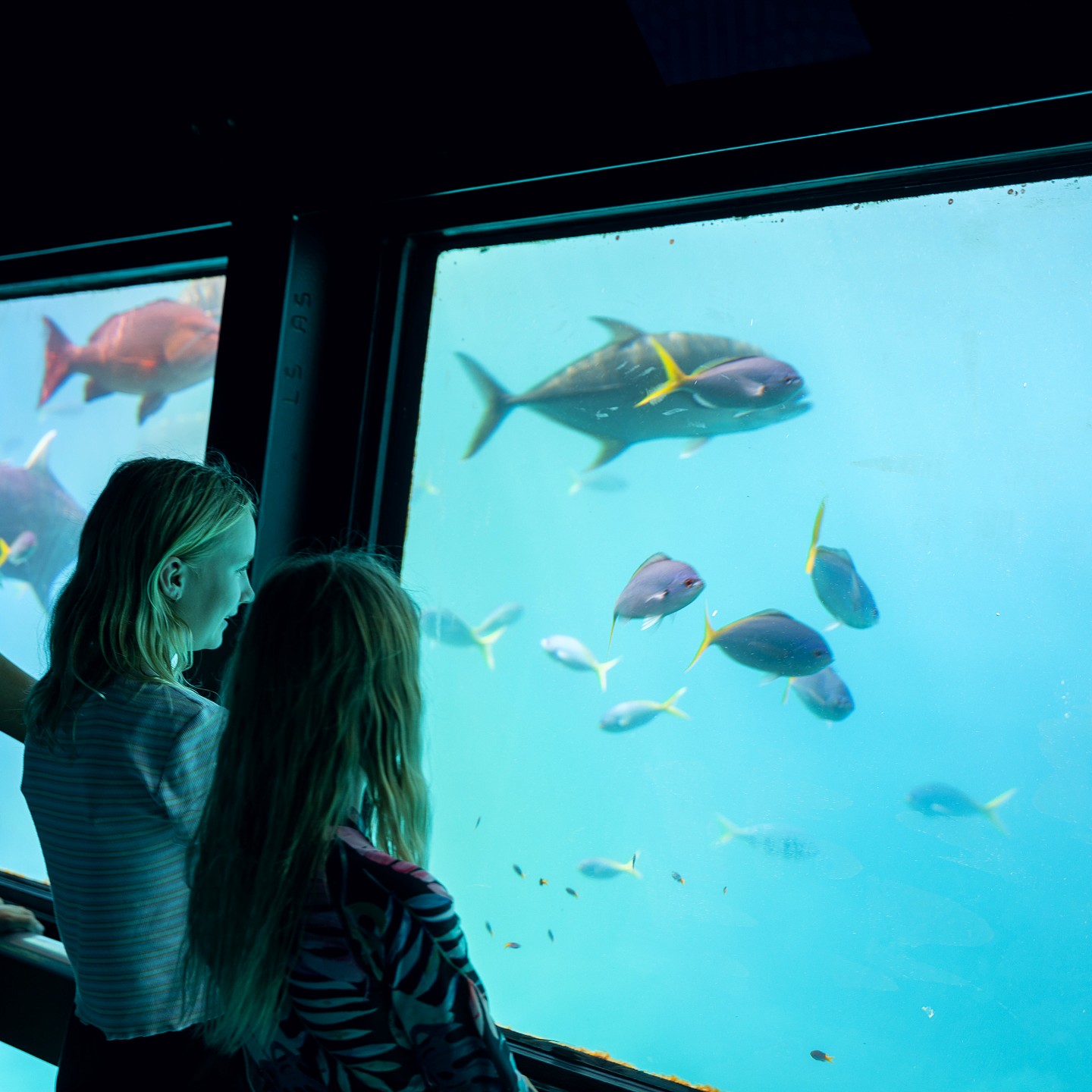 Reef Magic - Qantas Perks